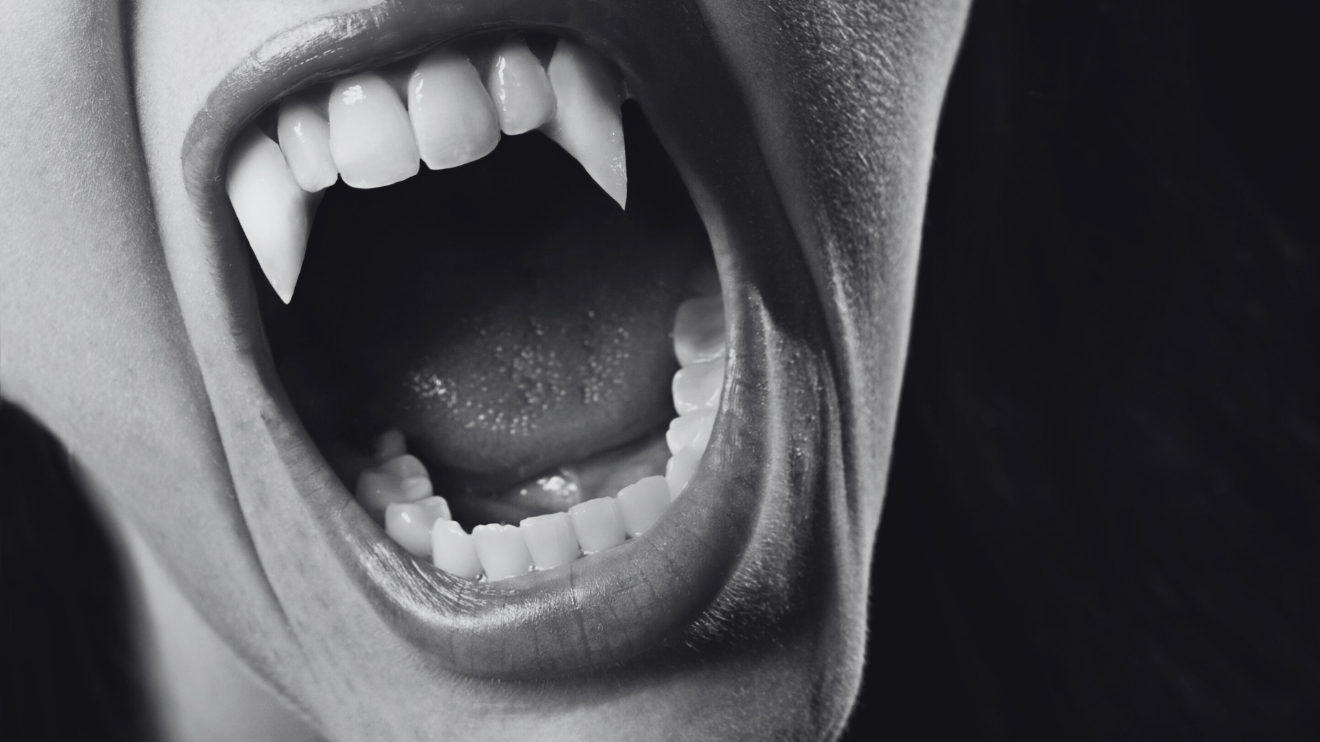 How to Kill a Vampire